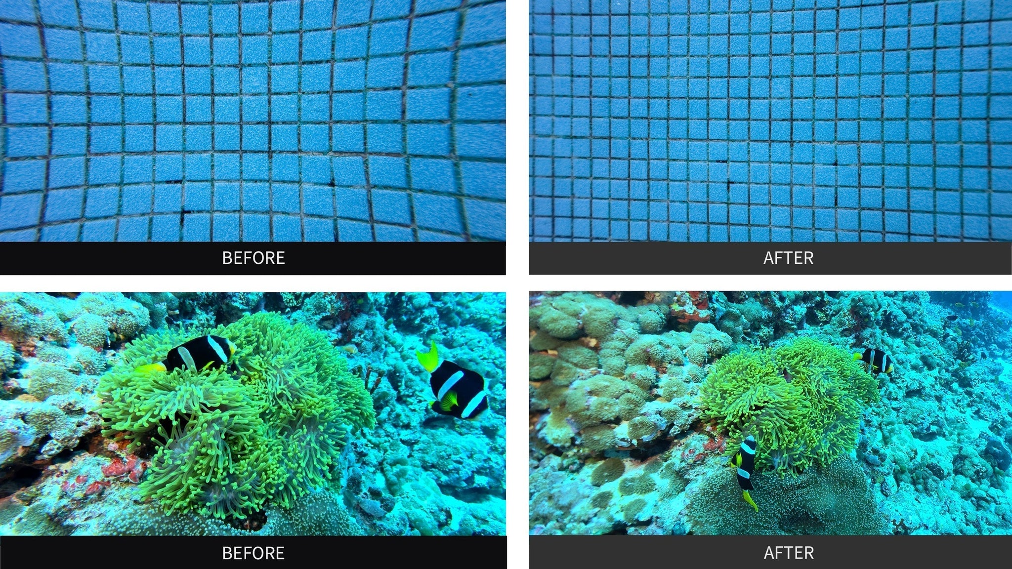 Capture Sweeping Underwater Vistas with the DIVEVOLK 0.6X Lens