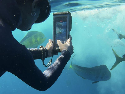 iPhone Diving Case, Underwater Smartphone Housing, Scuba Diving Phone ...