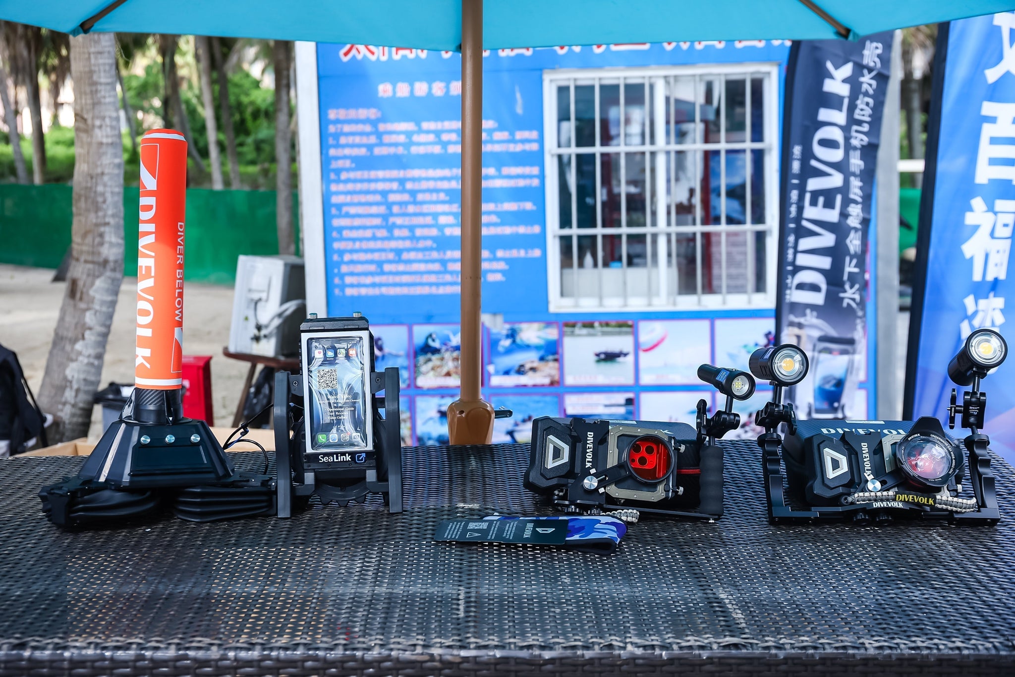 World Oceans Day: DIVEVOLK's Ocean Conservation in Action