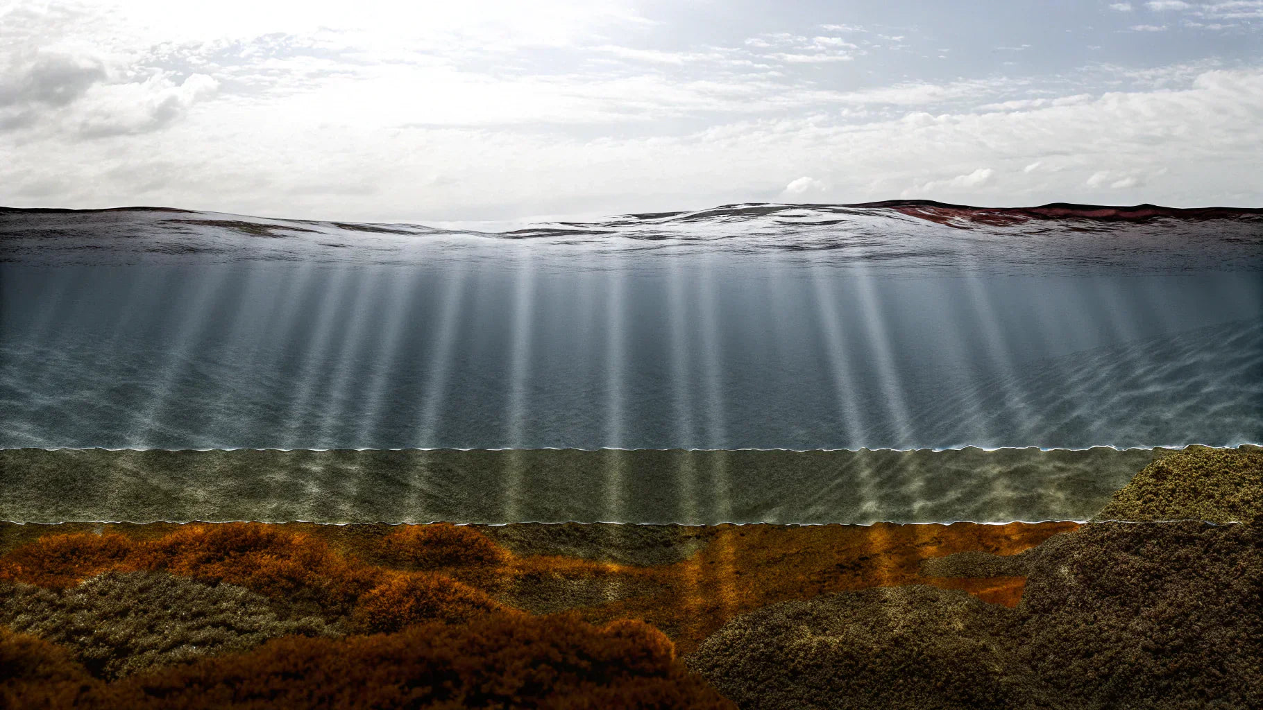 Why Colors Fade (Look Blue/Green) in Underwater Photography