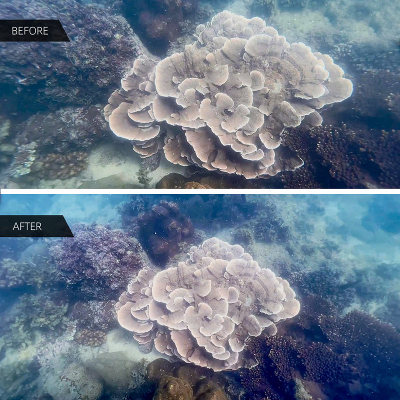 Wide-Angle X0.6 Lens | Underwater Photography