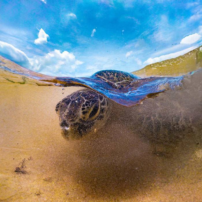 SeaTouch 4 Max Water Sports Kit | Durable & Leakproof